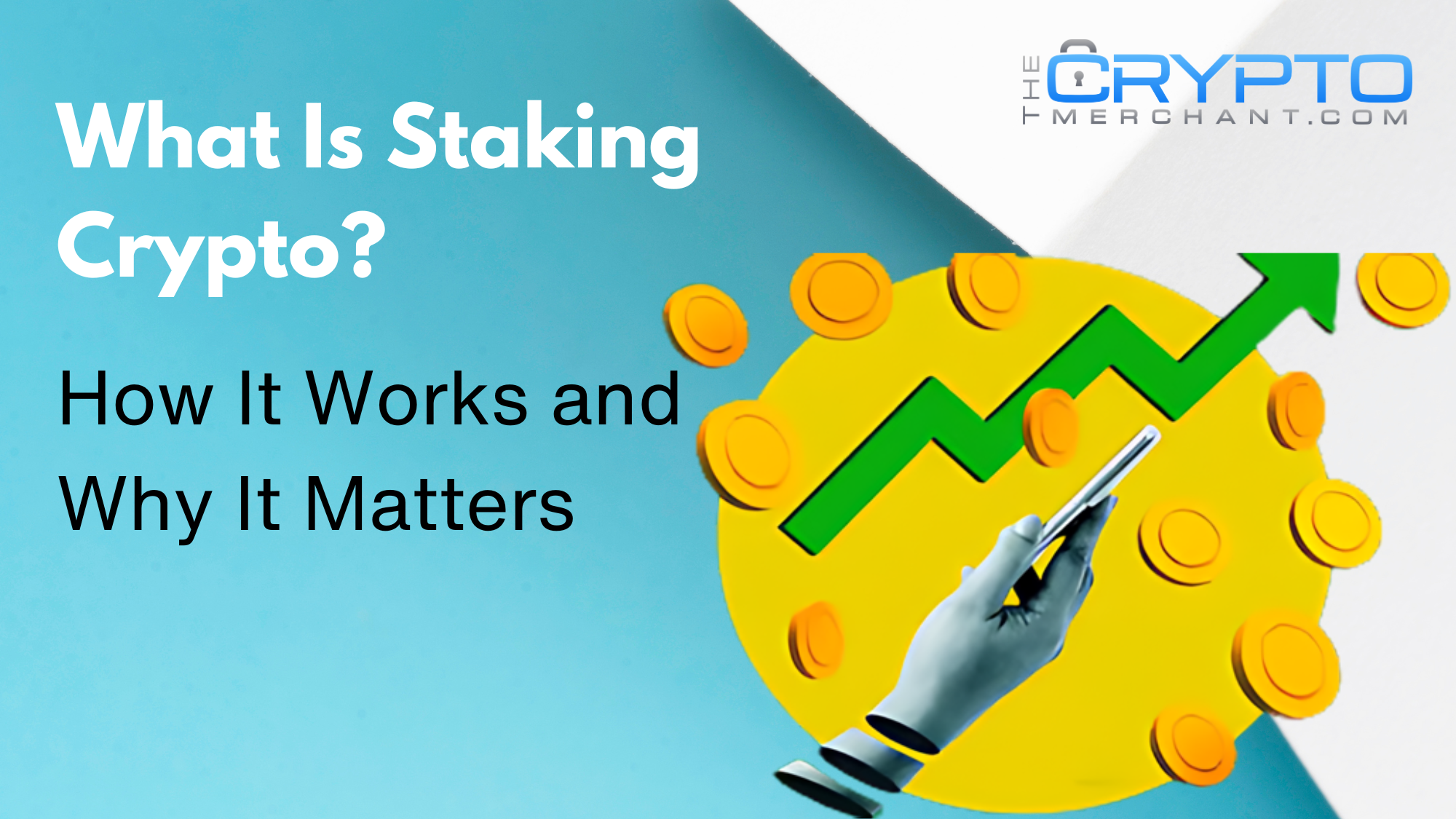 What Is Staking Crypto? How It Works and Why It Matters – The Crypto Merchant